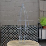 Plant Belle Topiary Forms | Detroit Garden Works