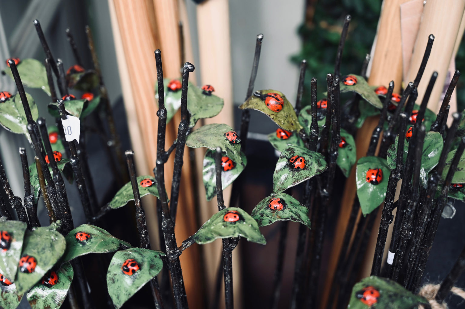 Single Stakes | Detroit Garden Works