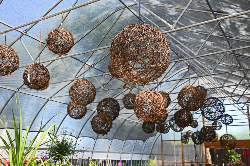 Grapevine Spheres | Detroit Garden Works