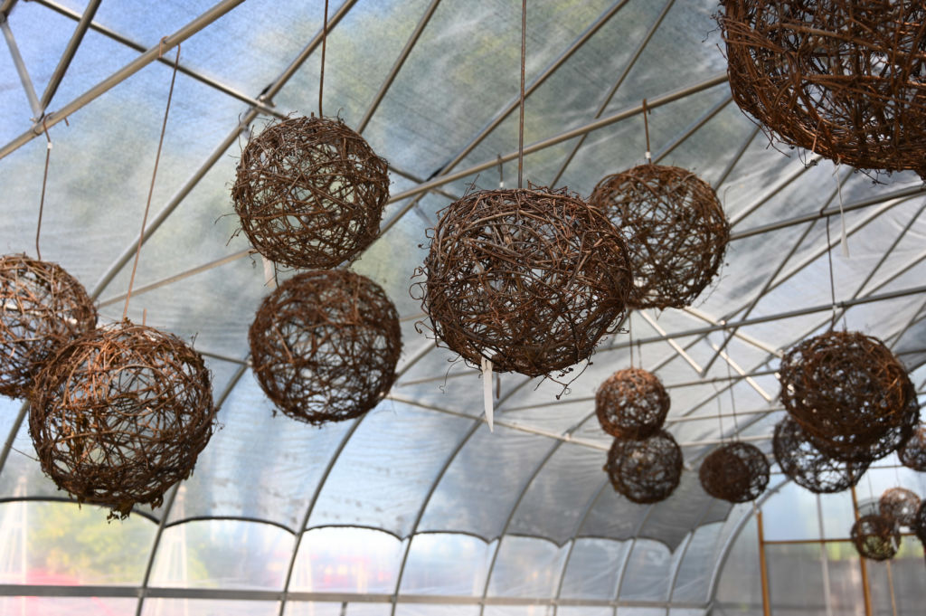 Grapevine Spheres | Detroit Garden Works