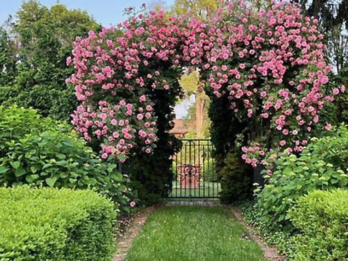 Detroit Garden Works